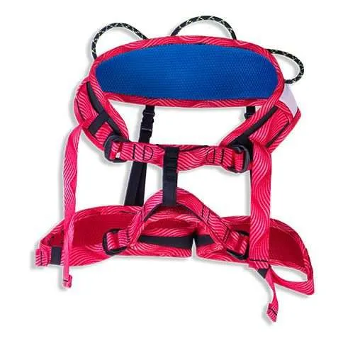 CAPRI - Push Climbing