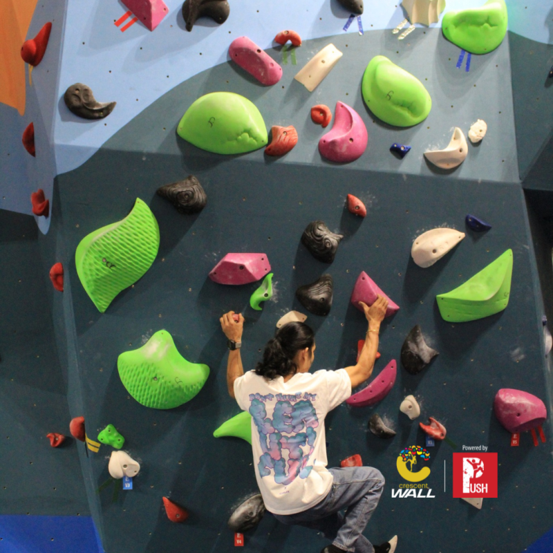 Gecko King Climbing Holds (IFSC Certified) - Push Climbing